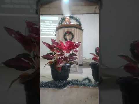 Otoritas dan Disiplin Gereja Yesus Krisrus Tuhan