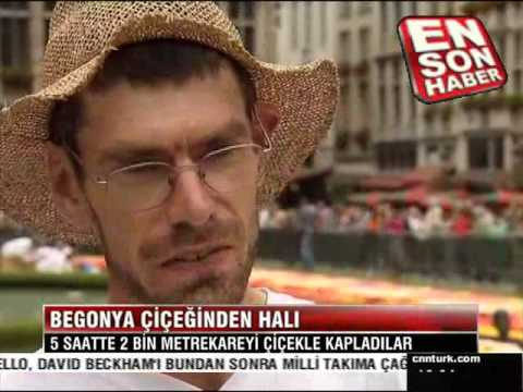 Begonya Çiçeğinden Halı