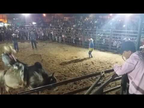 Diego Arruda VS Lobo Solitário