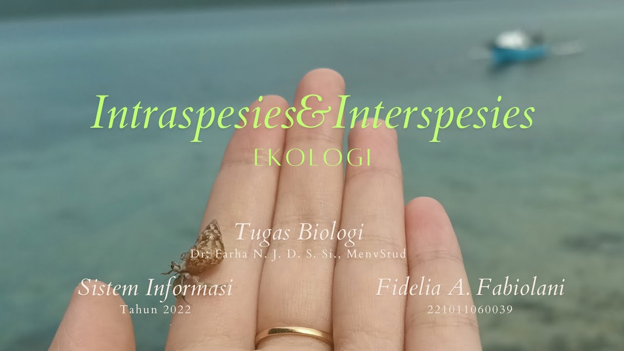 Ekologi : Intraspesies&Interspesies - YouTube