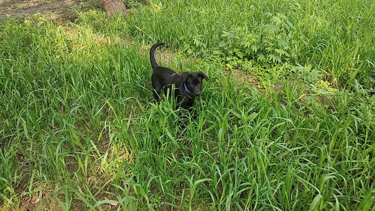 Introducing coco - YouTube