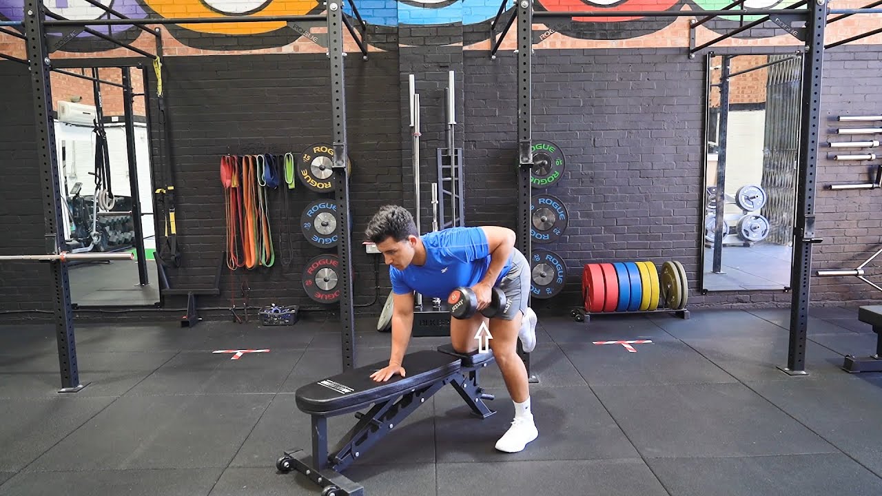 Single Arm Rows | Upper Back | Strength and Conditioning Exercises ...