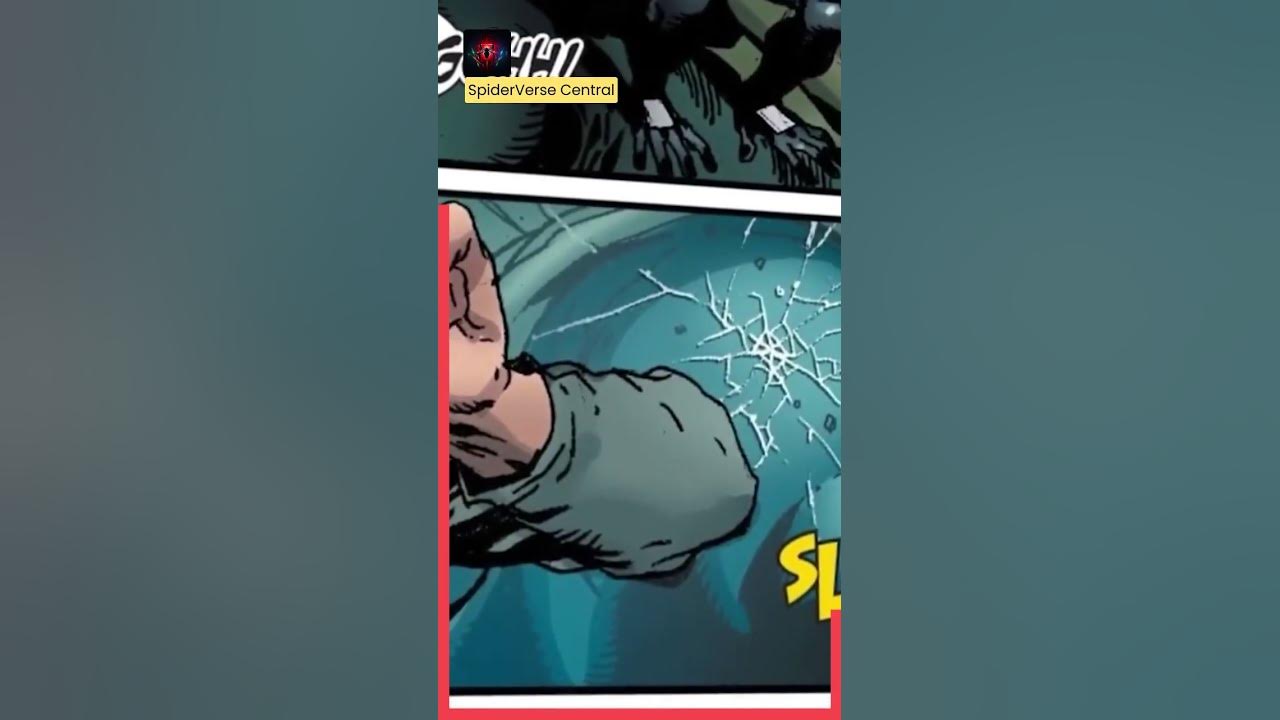 Secrets Revealed The Night Of The Spiderman Phenomenon Youtube