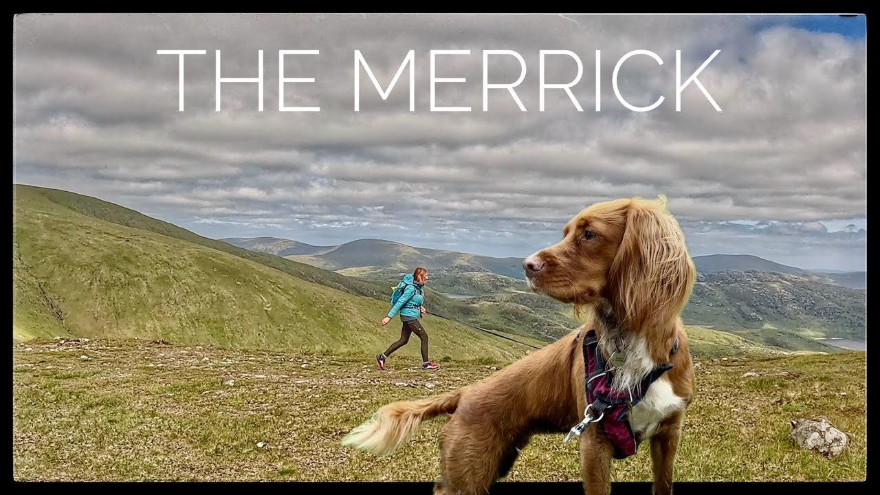 The Merrick - YouTube