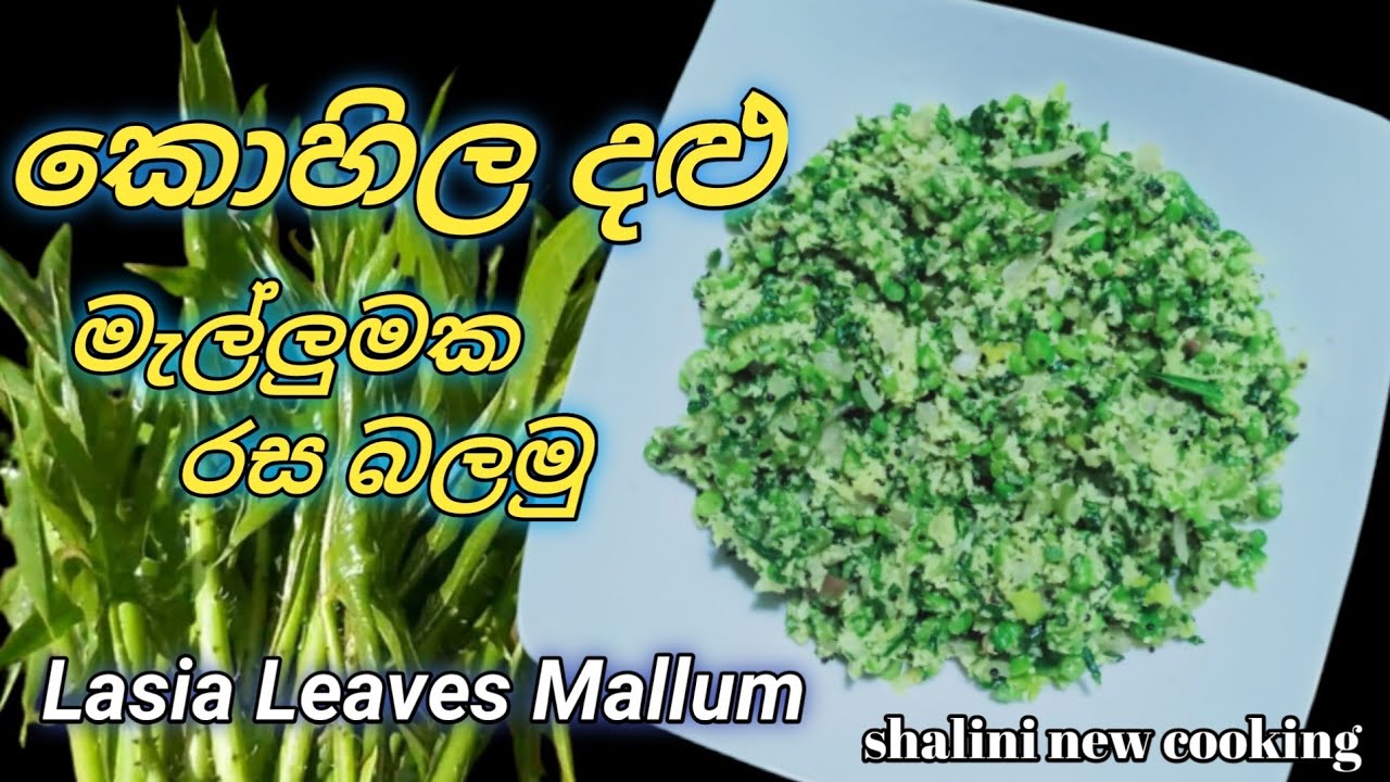 Lasiya Leaves Malluma ll කොහිල දළු මැල්ලුම ll Kohila Dalu Malluma ll ...