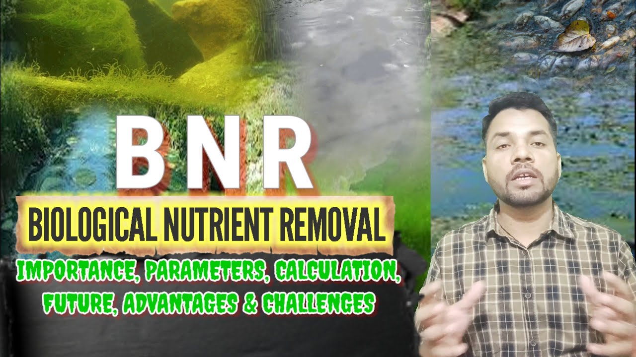 Importance of BNR: Biological Nutrient Removal 👉Process steps ...