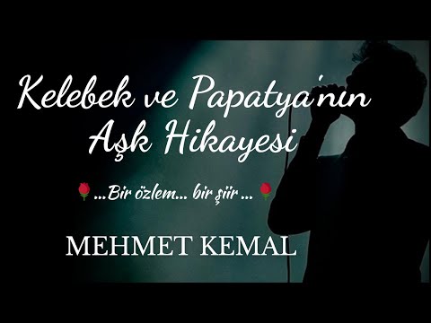 Kelebek ve Papatya'nın Aşk Hikayesi ❤️ Mehmet Kemal