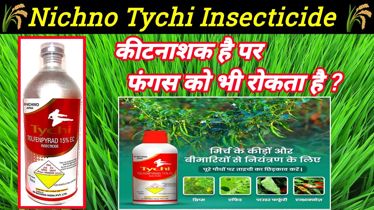 Tychi Insecticide| Nichno |Tolfenpyrad-15%EC| मिर्च की फसल में सभी ...