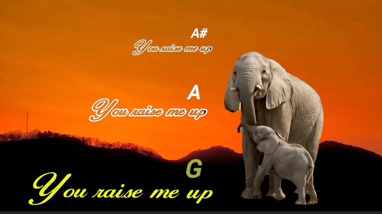 You raise me up [SKY-EMOTIONAL HARMONICA /G-KEY,A-KEY,A#-KEY] - YouTube
