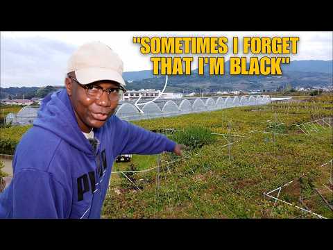 Meet Japan's First Black Grape Farmer (Black in Japan) | MFiles