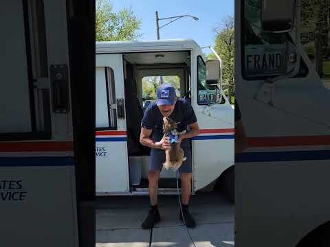 Frannie will always run to Postman Dan #frannielife #postmanDan # ...