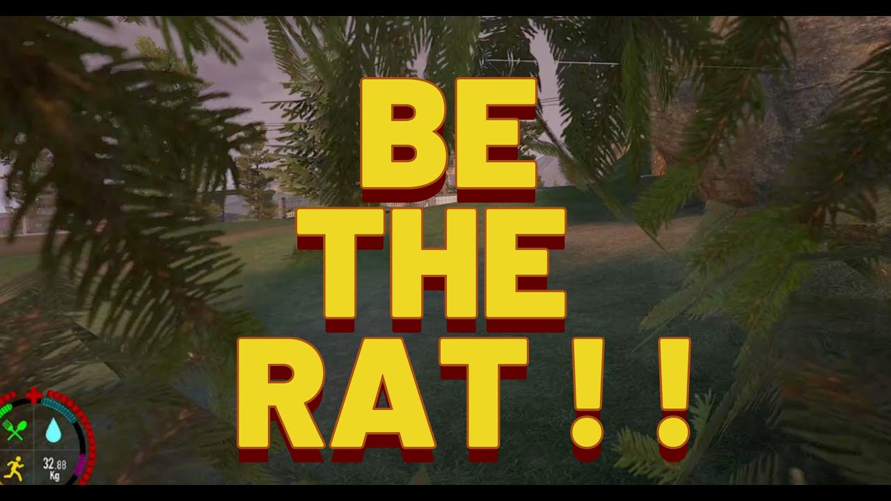 RAT STRAT FIRST RAIDS BACK - Ghosts of Tabor - YouTube