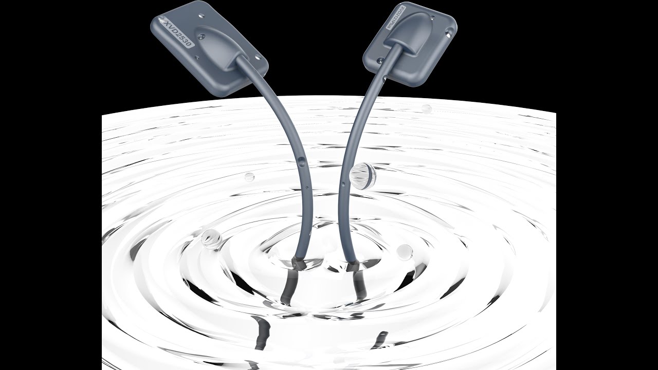 XpectVision Intraoral X Ray Sensor - YouTube