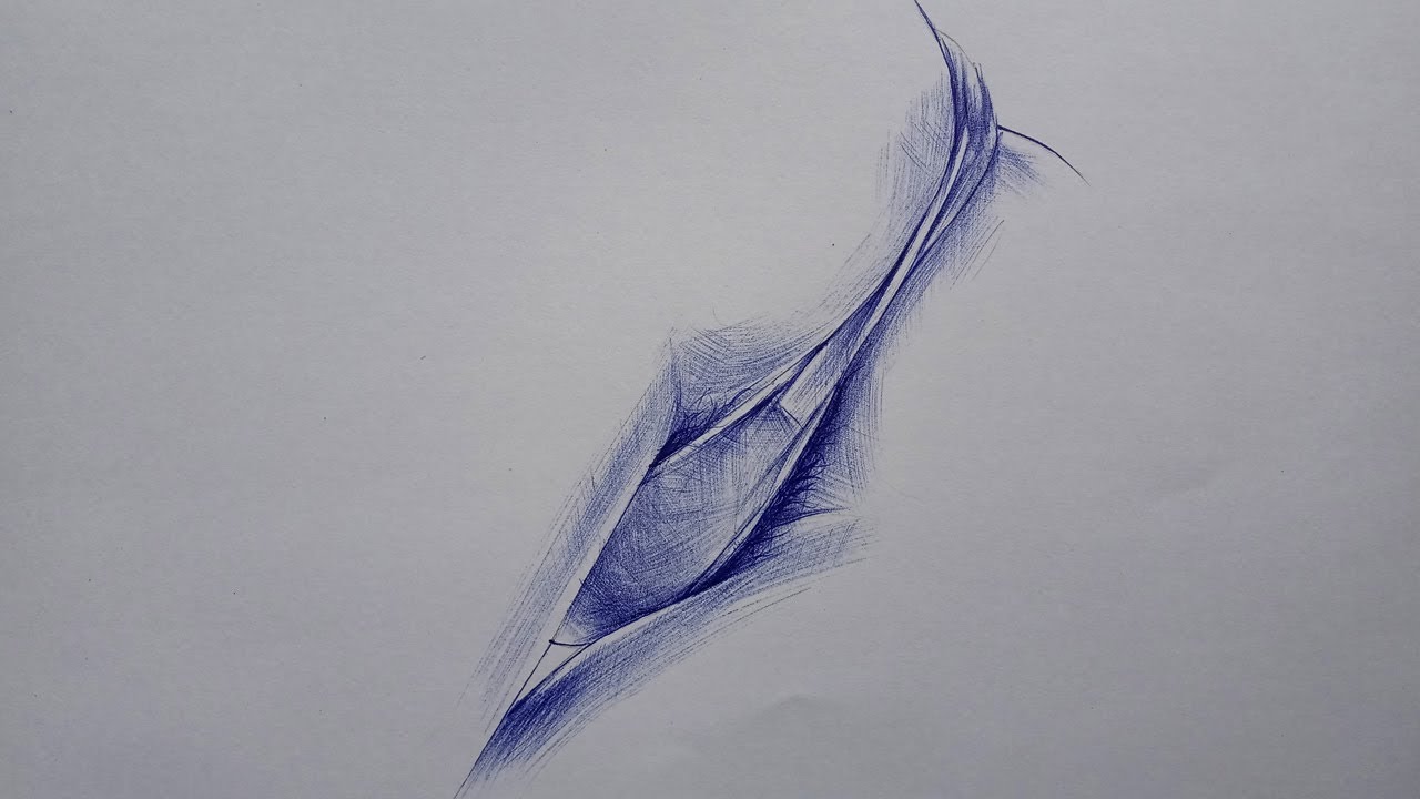 Simple Pen Shading Practice | Pen Art - YouTube