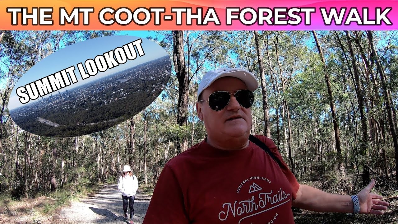 The Mt Coot-tha Forest Walk-Brisbane, AUSTRALIA 2022 - YouTube
