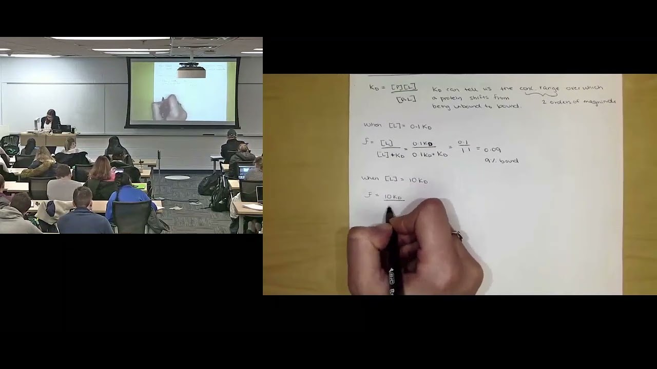 Universal binding curve and physio concs - YouTube