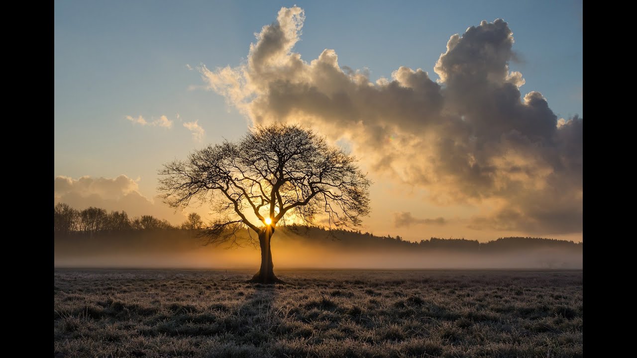 Maria Daines ~ Turned October (new video) - YouTube