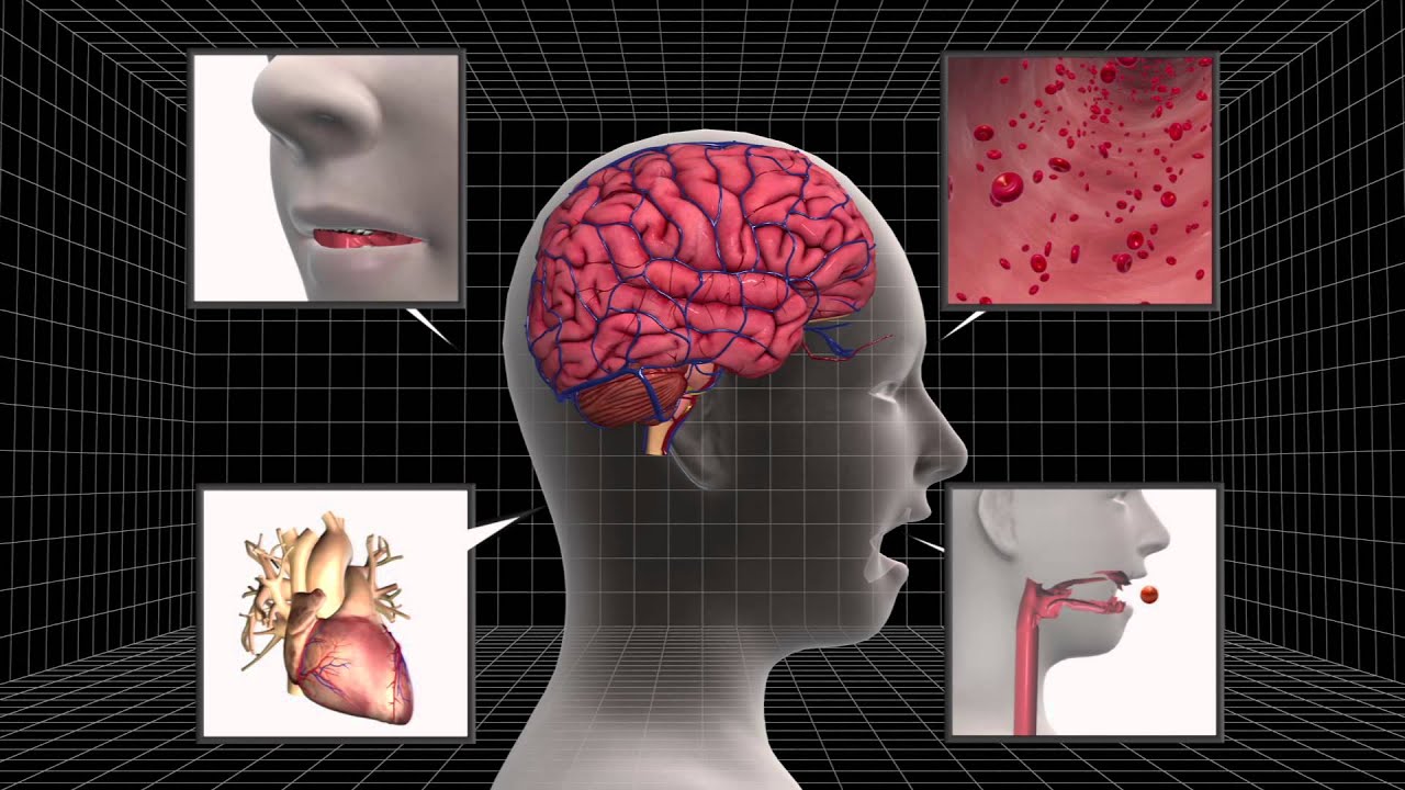 Judge rules brain-dead California teen can be taken off life support ...