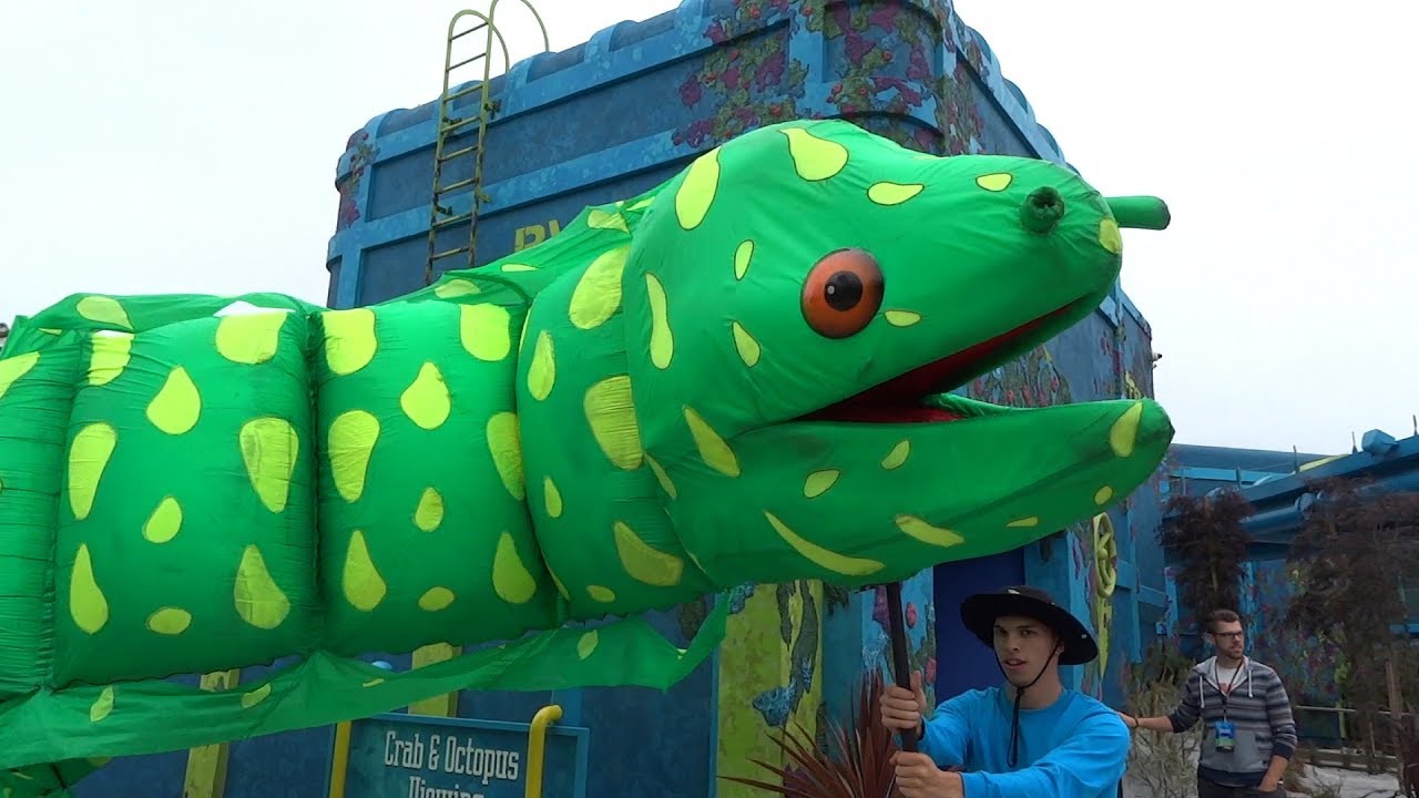 Ocean Explorer NEW area opening moment at SeaWorld San Diego - YouTube