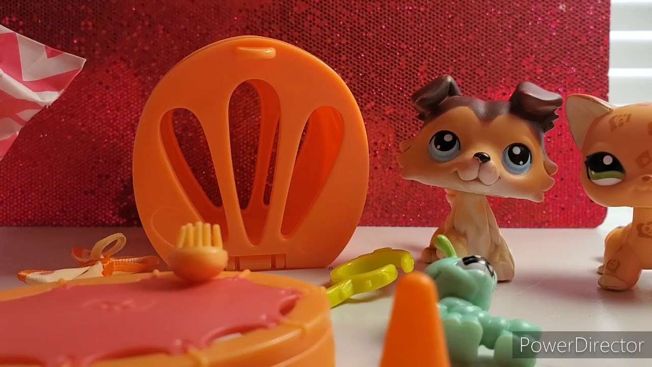 MY LPS SAGE CAME!!! (Lps package) - YouTube