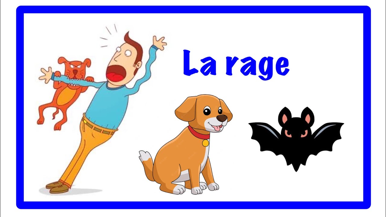 La rage infectieux - YouTube