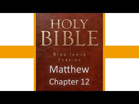 Matthew, Chapter 12 - The Bible Audiobook (King James Version) - YouTube