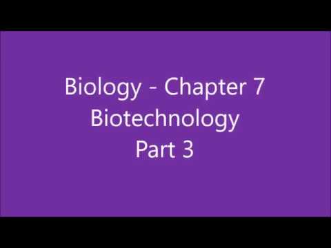 Biology Chapter 7 Biotechnology Part 3 - YouTube