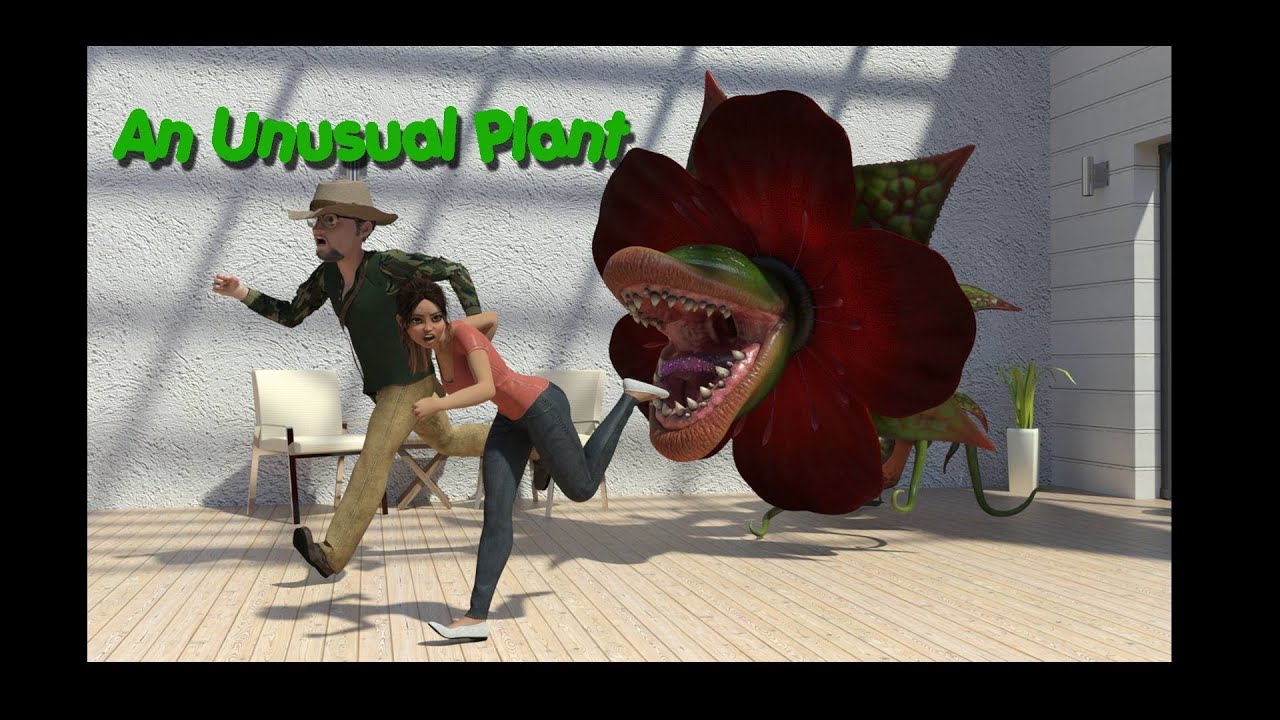 An Unusual Plant YouTube an-unusual-plant-youtube