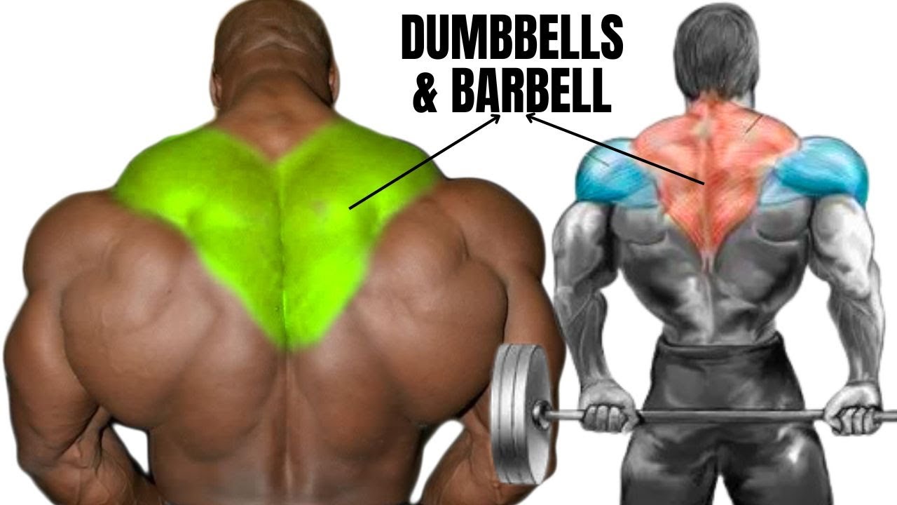 TRAPS WORKOUT- 16 BEST TRAPS EXERCISES WITH DUMBBELLS AND BARBELL ONLY ...