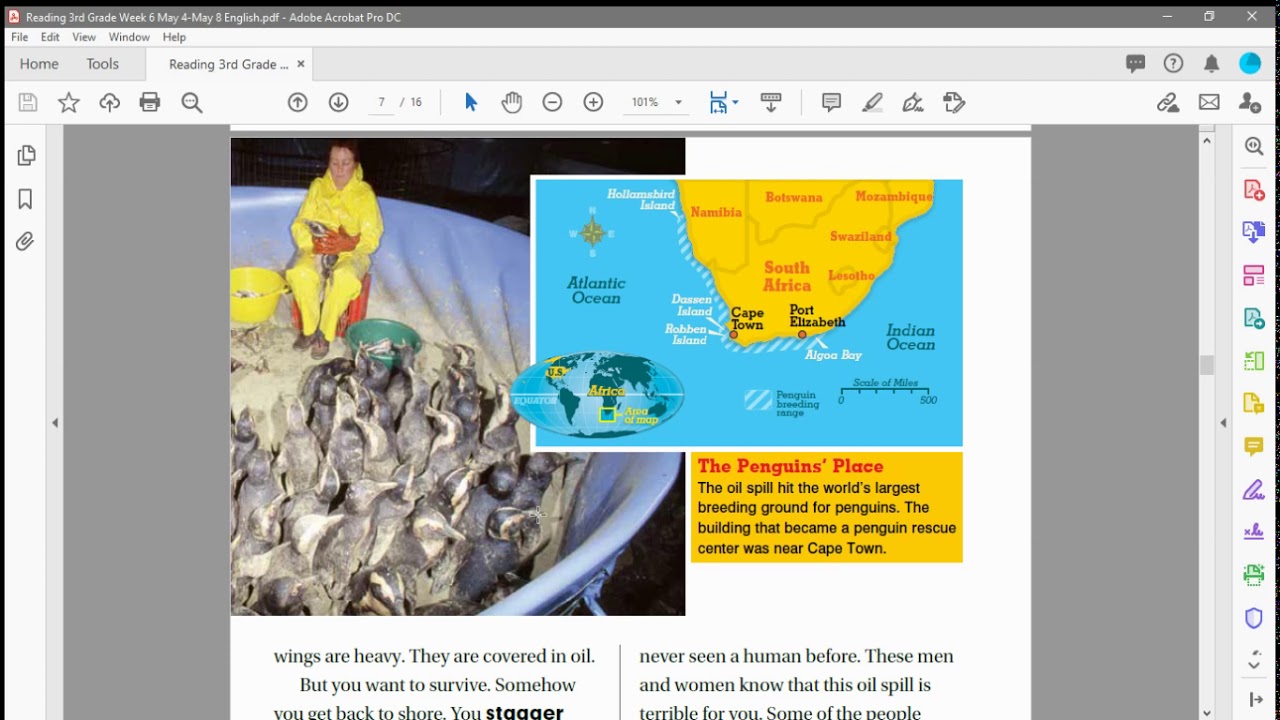 Week 6: The Amazing Penguin Rescue - YouTube