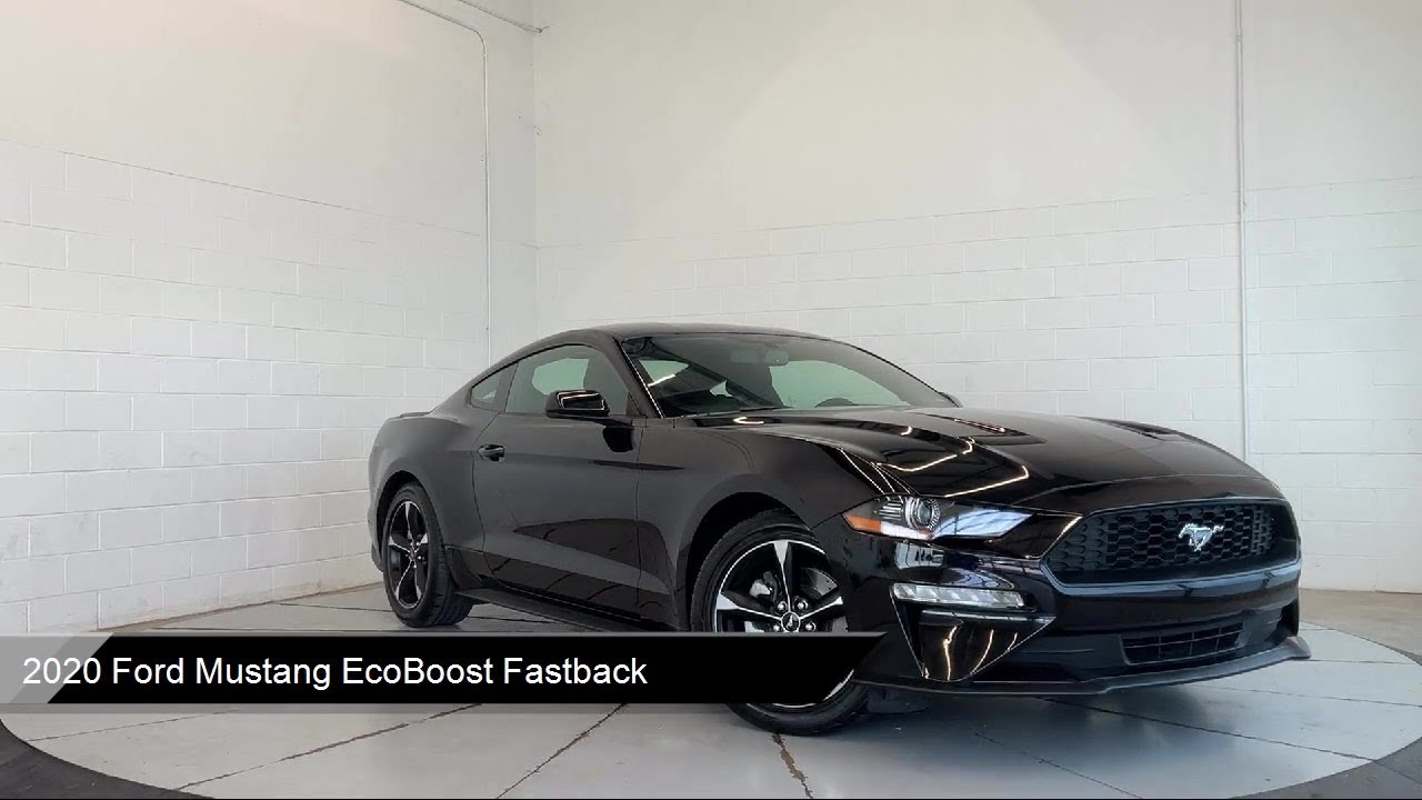 2020 Ford Mustang EcoBoost Fastback Orchard Park Buffalo Scranton ...