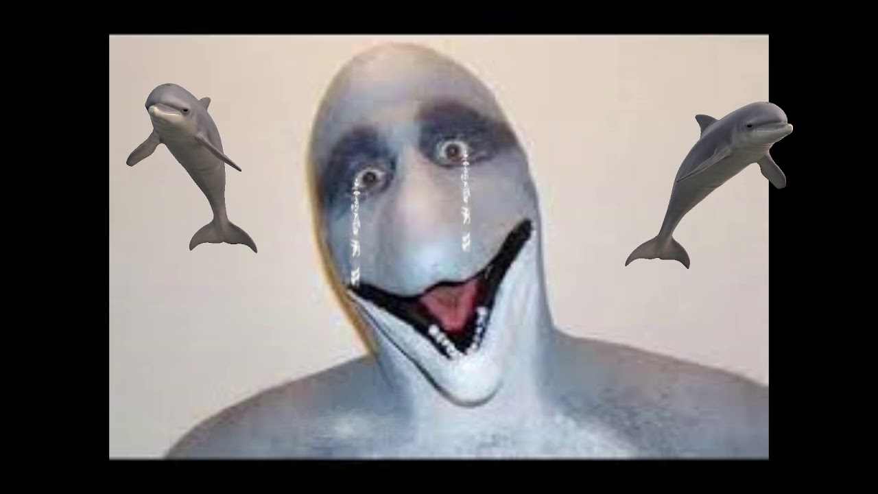 dolphin rave - YouTube