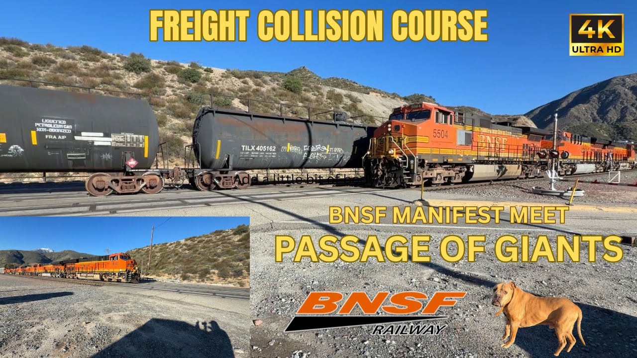 Epic Mega Manifest Train Meet has Buddy Drooling! BIG FREIGHT Trains ...