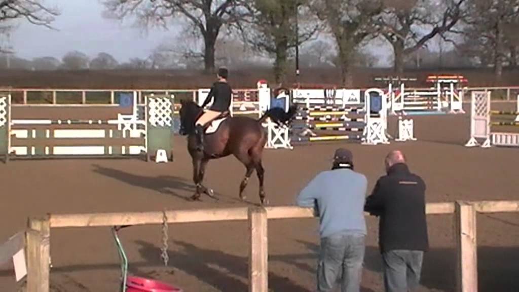 zaire jumping foxhunter at southviewclip-2012-03-24 17;50;21 - YouTube