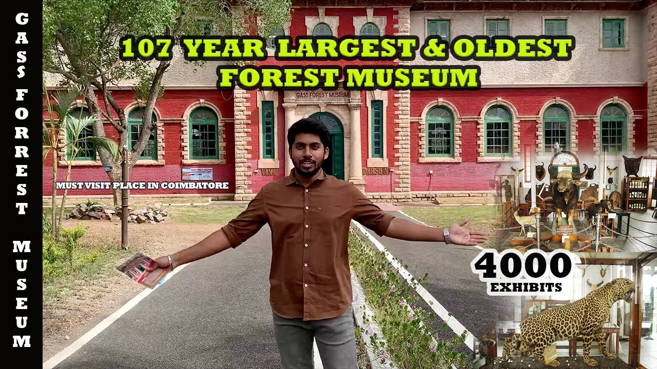 Gass Forest Museum Tour | 107 years Largest & Oldest museum | 4000 ...