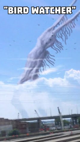 Bird Watcher Sound 🔈Trevor Henderson - YouTube