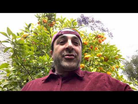 Status kvo dədən kimi cəhənnəmə getdi?