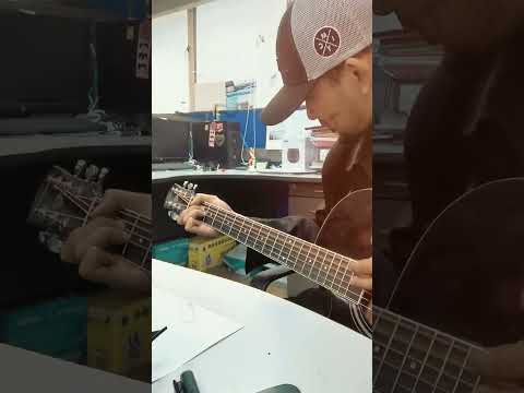 zarbajad karam #shorts #reels #jiwang #acoustic