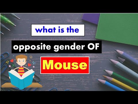 What is the opposite gender of Mouse 🐁 || Mouse ka opposite gender kya ...