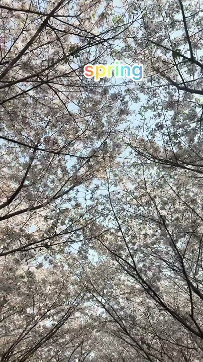 Spring is coming - YouTube