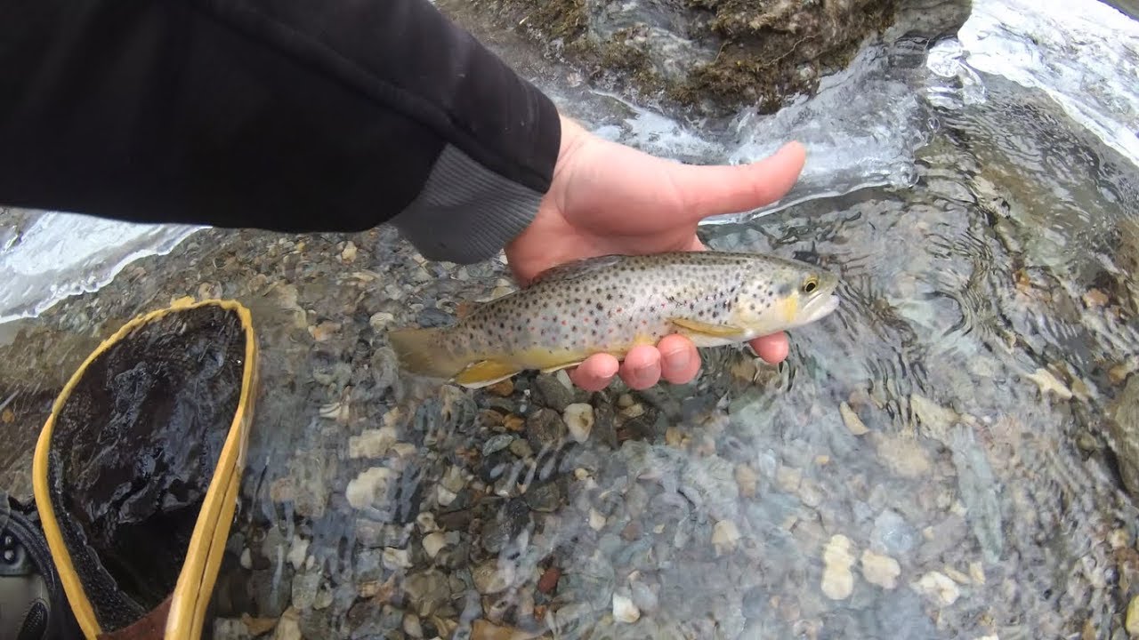 Small Stream Winter Trout Fishing Challenge! - YouTube