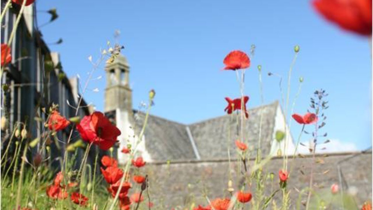 Fenwick Church Remembrance Day Service - YouTube