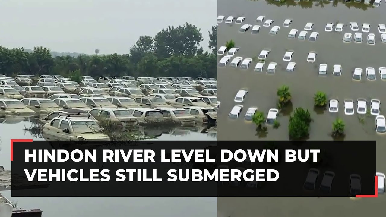 Hindon river water level comes down; visuals from Greater Noida's ...