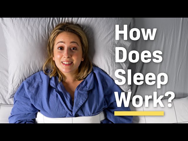 How Sleep Works & Why It Is Necessar…: English ESL video lessons
