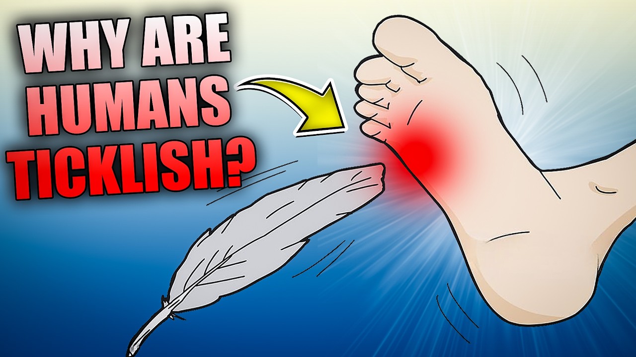 The Surprising Reason We’re Ticklish - YouTube