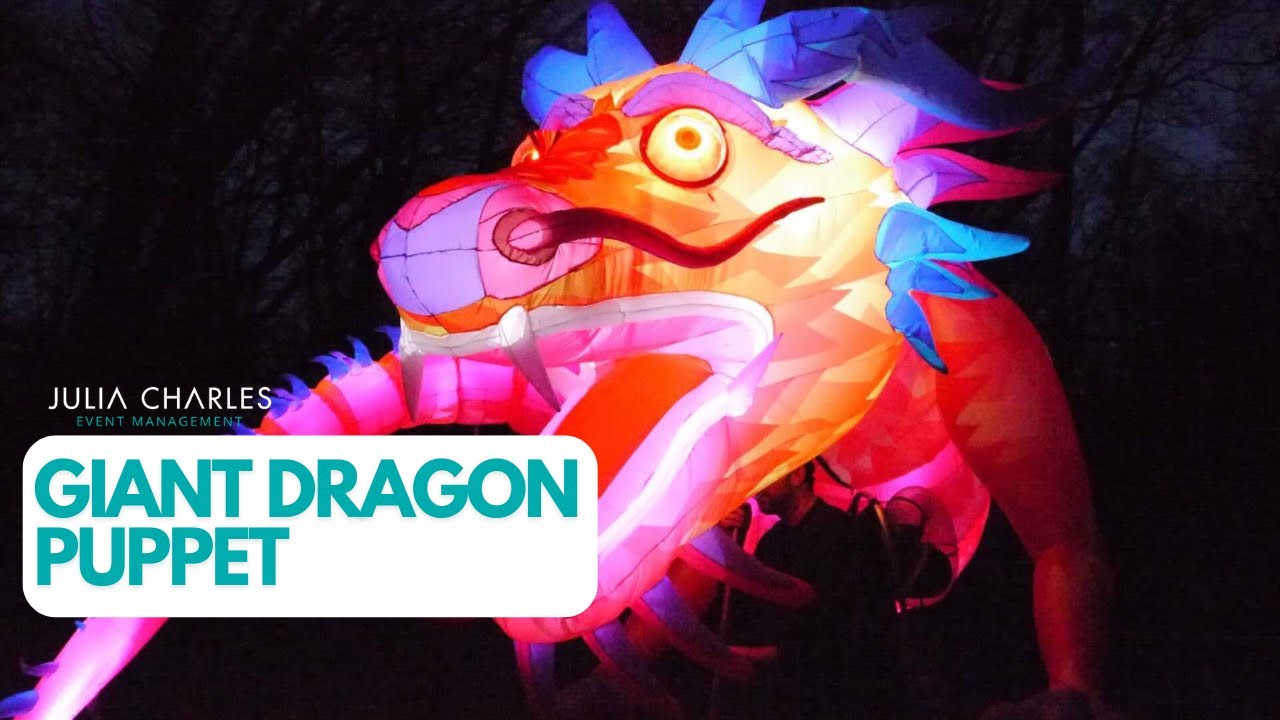 Giant Dragon Puppet | LED dragon puppet perfect for Chinese New Year ...