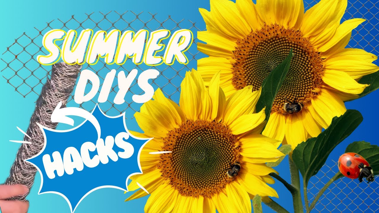 Outdoor Summer DIYS 🐝 // Crafts with Dollarama items - YouTube