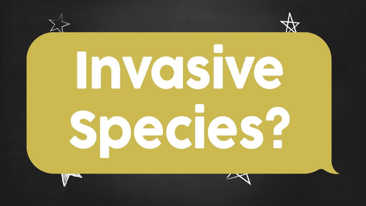 Invasive Species Sign