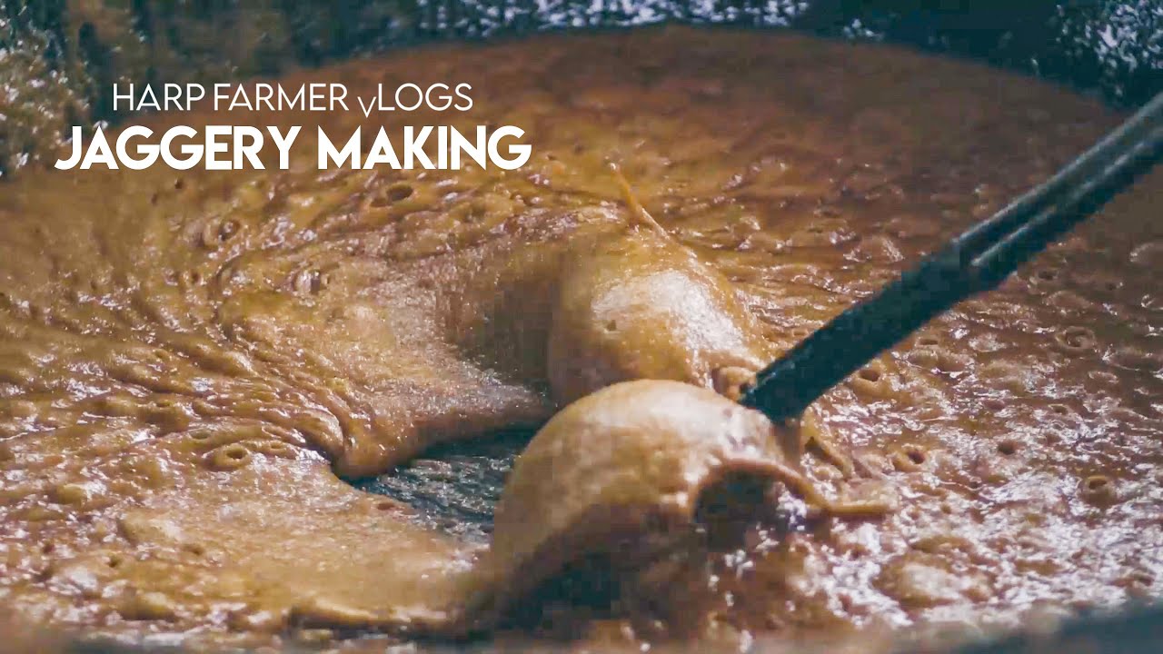 Desi Gurh | Jaggery Making | Harp Farmer vLogs - YouTube