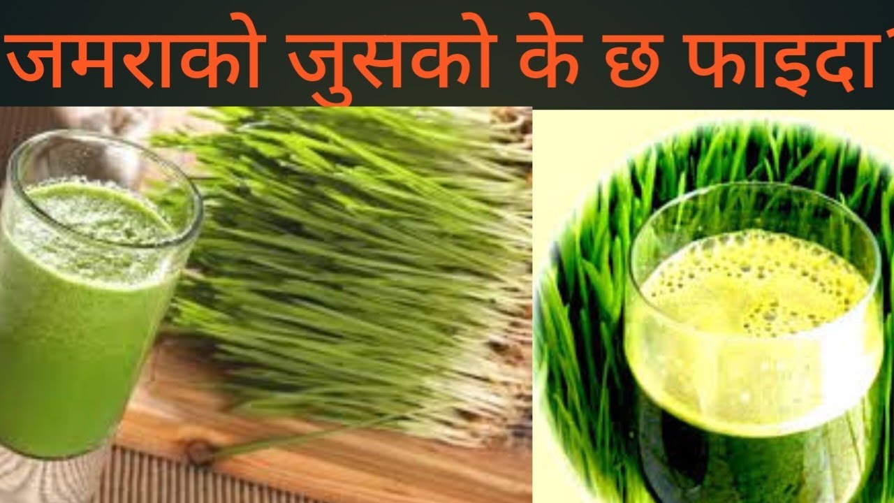 Jamara Juice health benefits|Dr Bhupendra Shah|doctor sarhi - YouTube